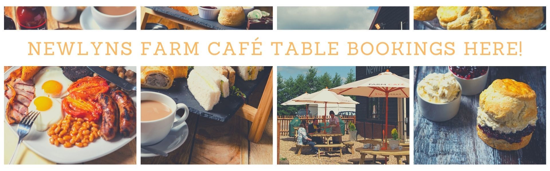 Newlyns Farm Shop, Cookery School and Cafe in Hampshire